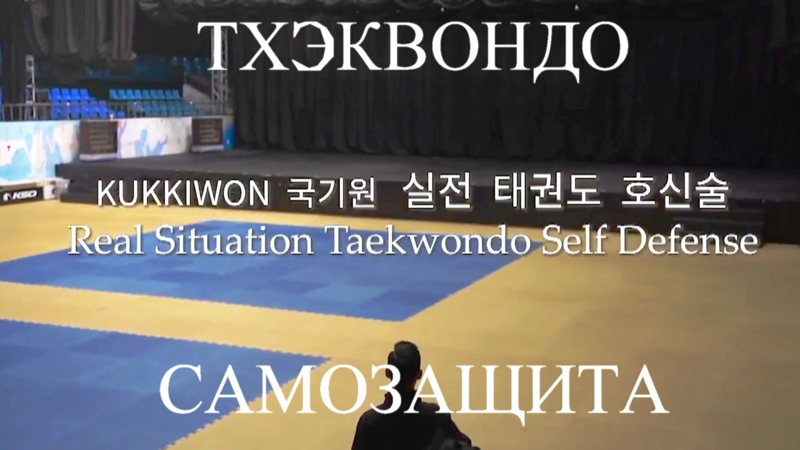 ВСЕМИРНАЯ ФЕДЕРАЦИЯ САМОЗАЩИТЫ ТХЭКВОНДО -TKDD