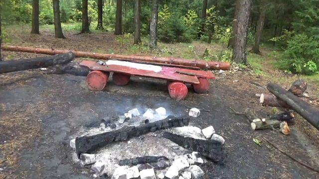 Лесная столовая на поляне в лесу Телеши. Рассказ об опасной  находке в лесу.