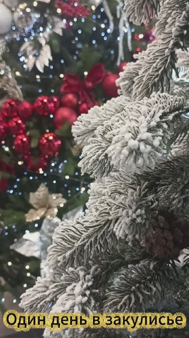 Один день в закулисье https://t.me/mir_glazami_idushego