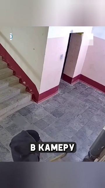 Топор, Стул и Валенки: Тюменец Устроил Ночной Погром