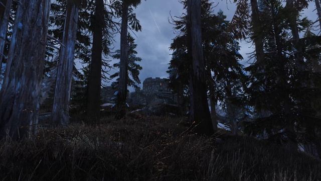 Дождливый день в TES 5: Skyrim. Расслабляющая музыка. [4К]