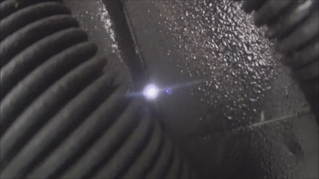 Сквозные отверстия в задних крыльях.