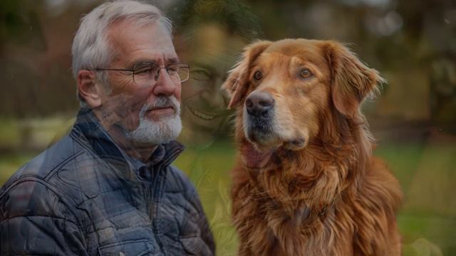 Тайны собак. Подборка фактов, способствующих засыпанию.