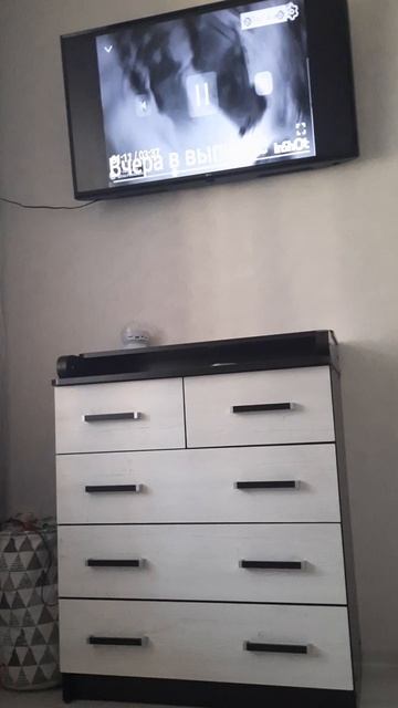 новости капибар выпуск 08.01.2026