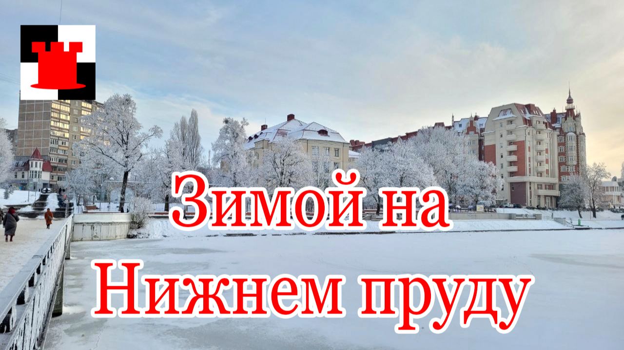 Не часто такое увидишь! Зимняя прогулка по Нижнему пруду Калининграда