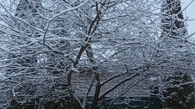 ПЕРВЫЙ СНЕГ