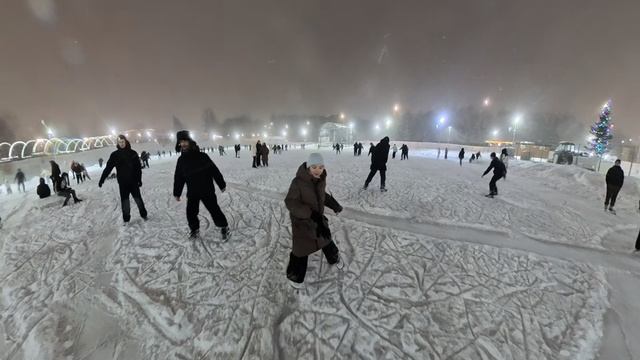 Коньки (Вера, Рома, Ева, Жанна)
