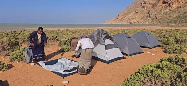 Сокотра, остров Йемена, добрались до пляжа и ночуем в палатках, знакомимся с ядовитыми растениями