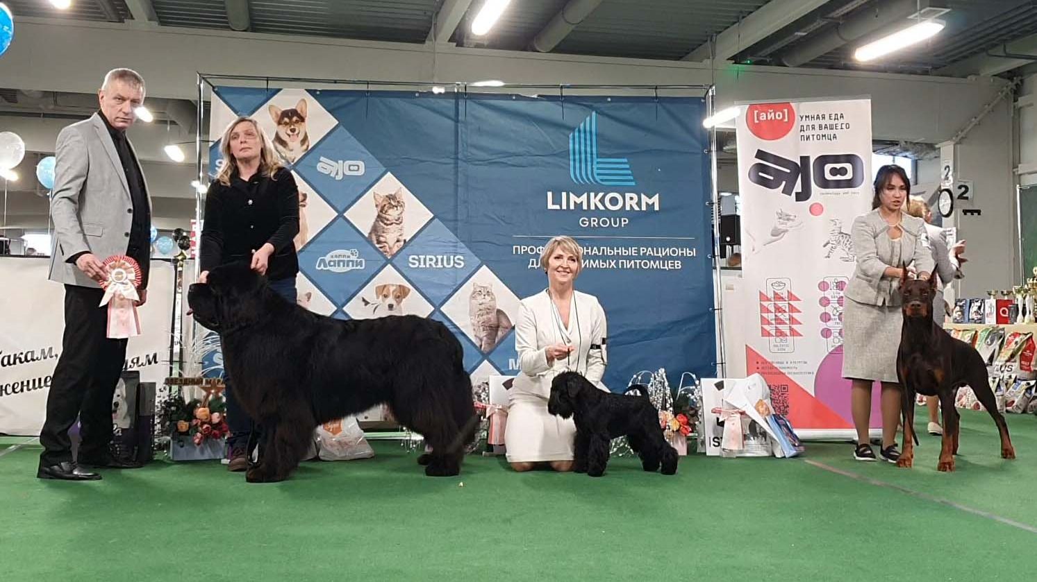 21.12.2025, СПб. Клуб "Звезда Невы". Выставка САС 2 группы FCI