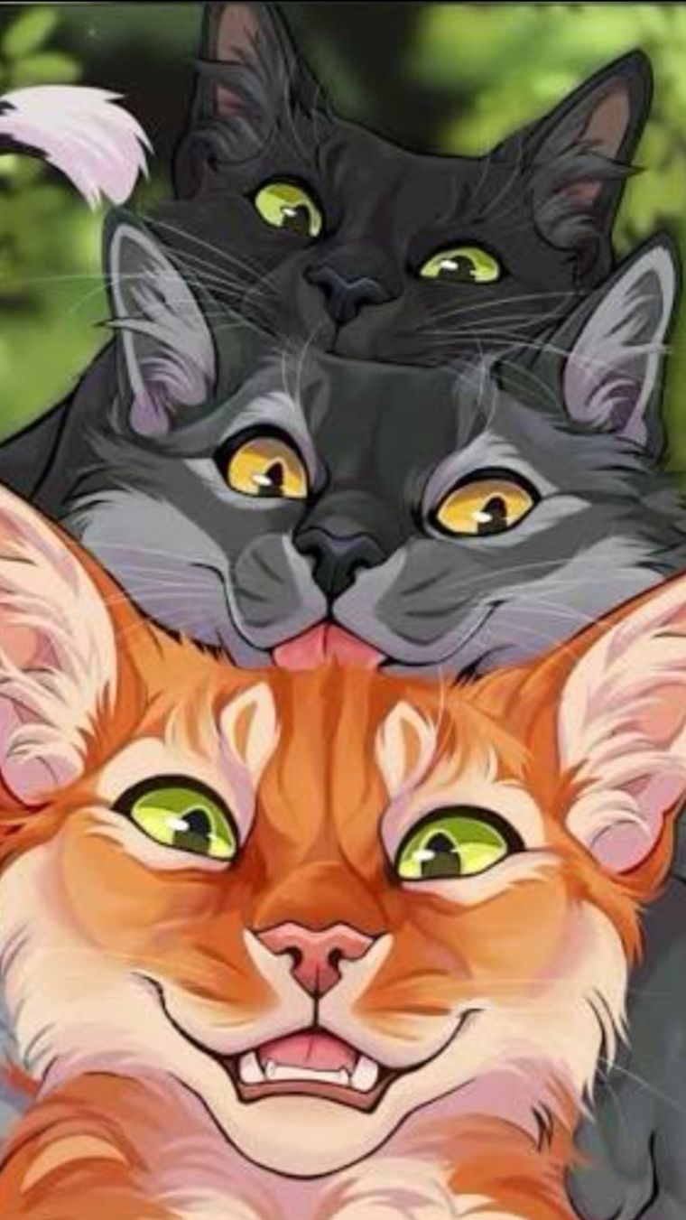 Коты воители