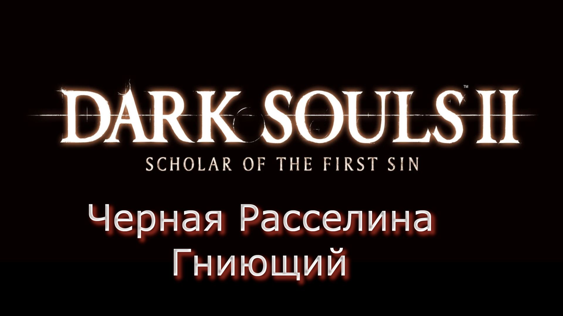 Dark Souls 2 SOTFS Прохождение_19