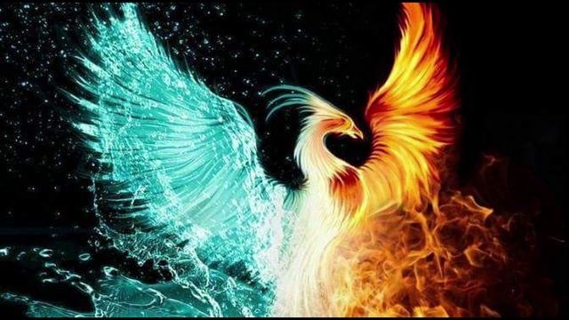 Александр Нужный - Птиц