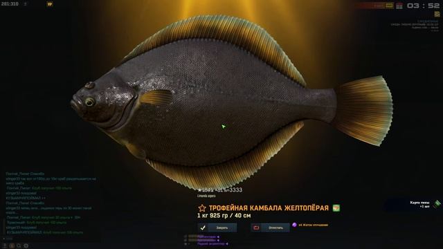 Fisher Online ЧЕЛЮСКИН КАМБАЛА ЖЕЛТОПЁРАЯ С БАЗЫ