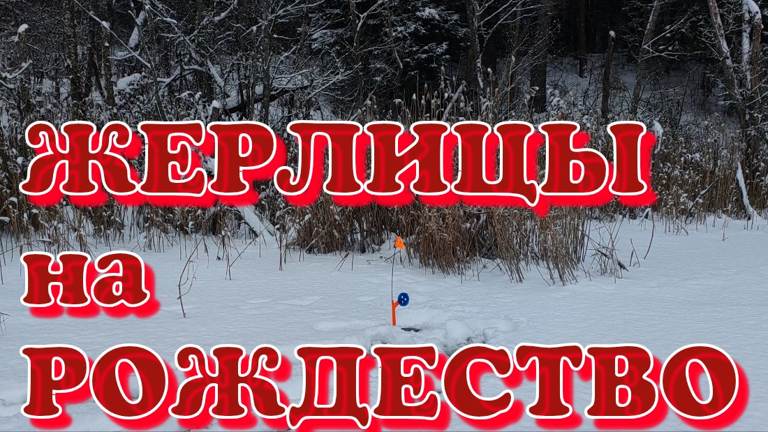 Щука на Жерлицы