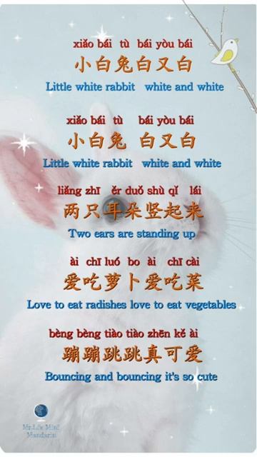 Little white rabbit 小白兔白又白 兔年儿歌音樂 华语 儿歌