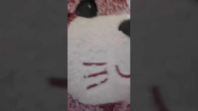 соседка с пятого этажа чокнулась