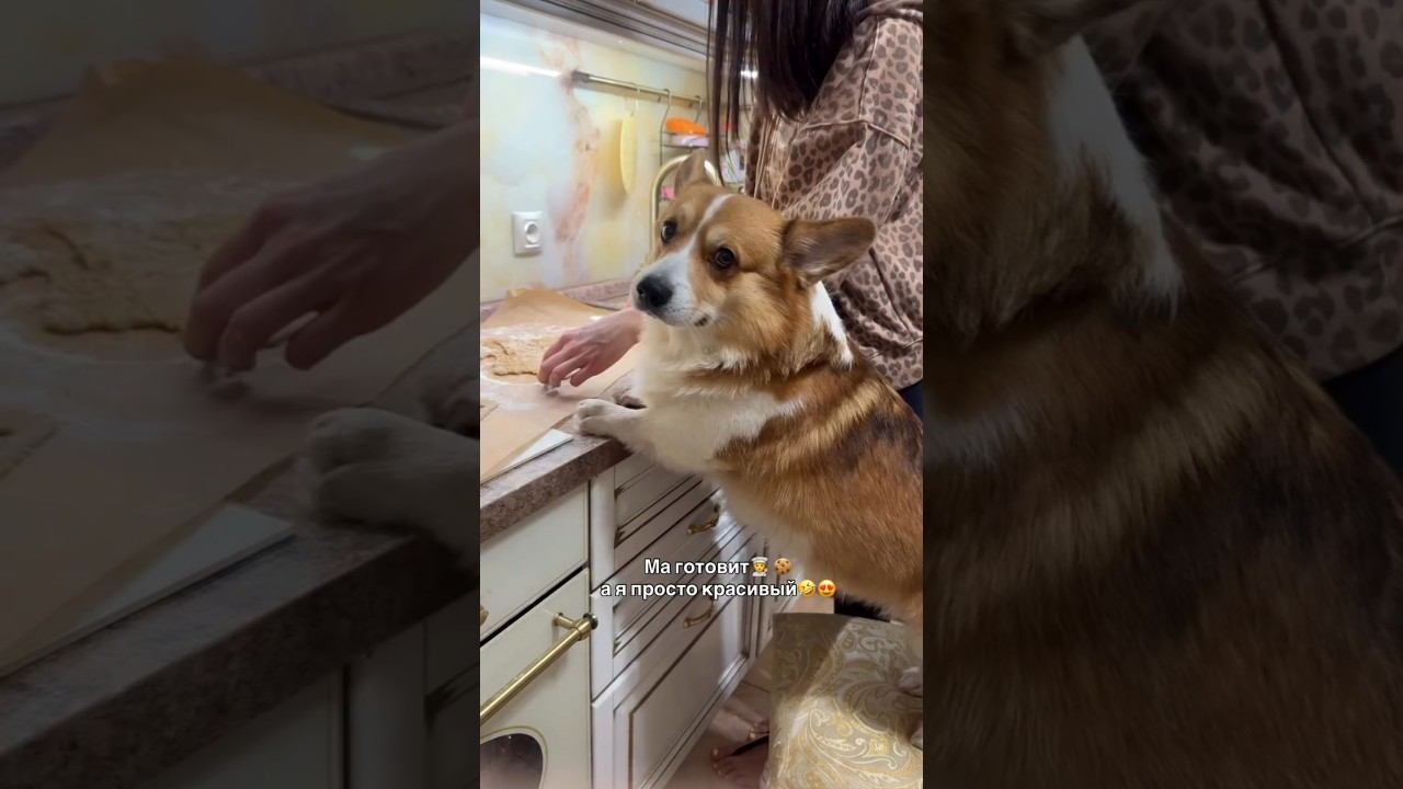 Печеньки я люблю