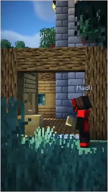 Minecraft Starter Castle