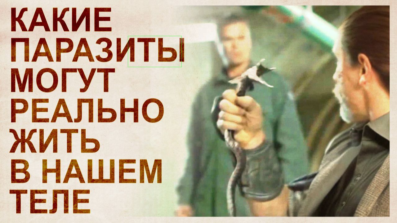 Эффективные методы очищения организма от паразитов