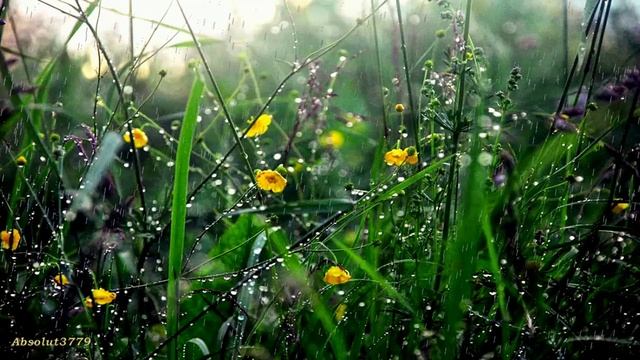 Расслабляющая фортепианная музыка , мягкие звуки дождя для расслабления во сне