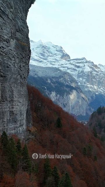 В мире, где таятся опасности... | Божье Слово для вас