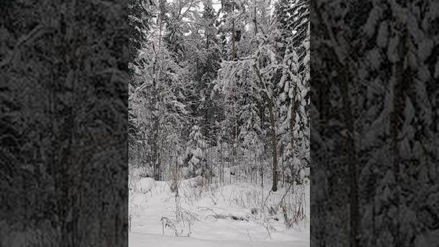 №103 Гармонизация и балансировка вибрационных частот