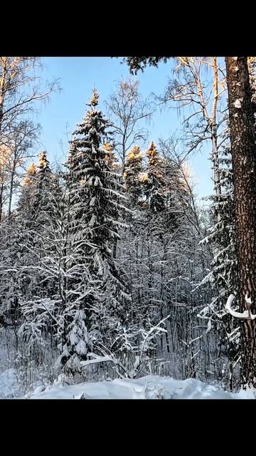 Зимняя сказка