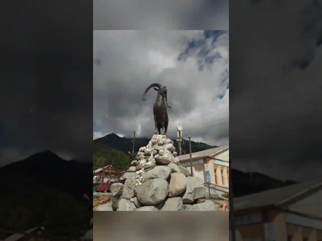 8 октября 2024 г.