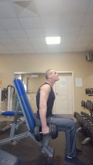 #Шраги на трапеции сидя 27,5 кг. Упражнение № 6