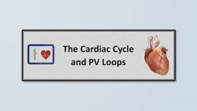 5_The Cardiac Cycle and PV Loops Eric Strong