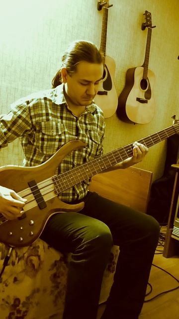 INTRO BASS - группа Please Wait...