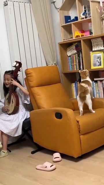 🚀[подборка видео из мира новостей, юмора и события из жизни людей - для вашего досуга!]