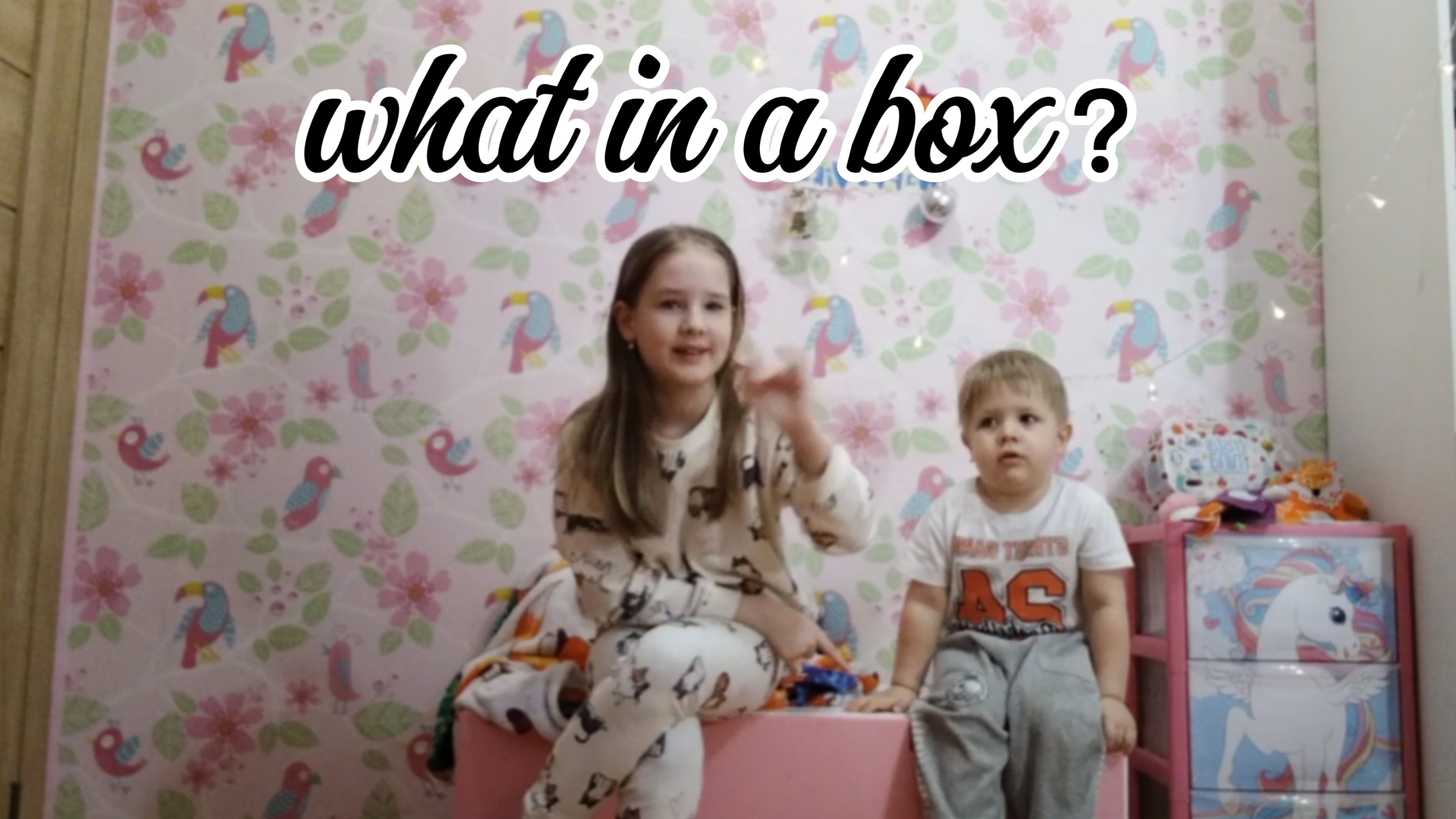 Challenge: GUESS WHAT IN A BOX?! | Happy Vika
