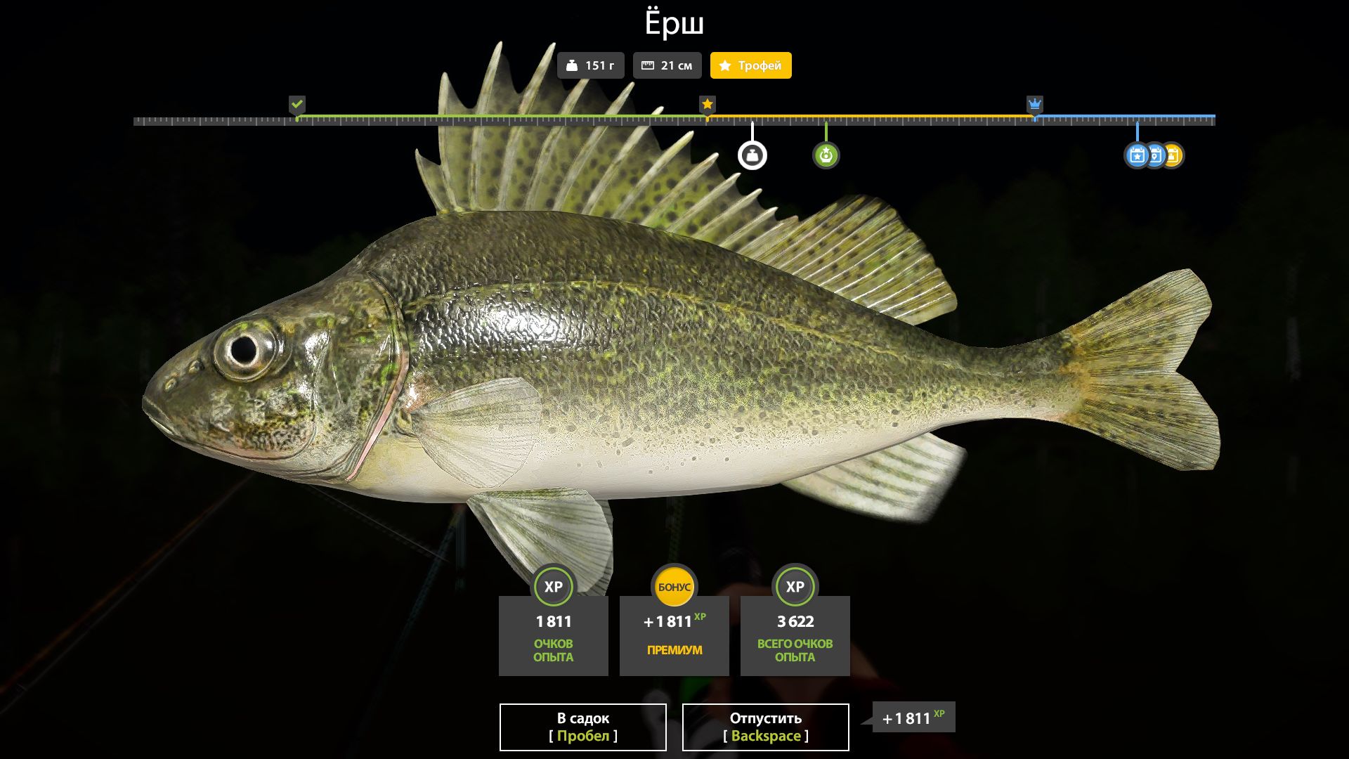 ЕРШ ТРОФЕЙНЫЙ!!!КОМАРИНОЕ ОЗЕРО - РУССКАЯ РЫБАЛКА 4