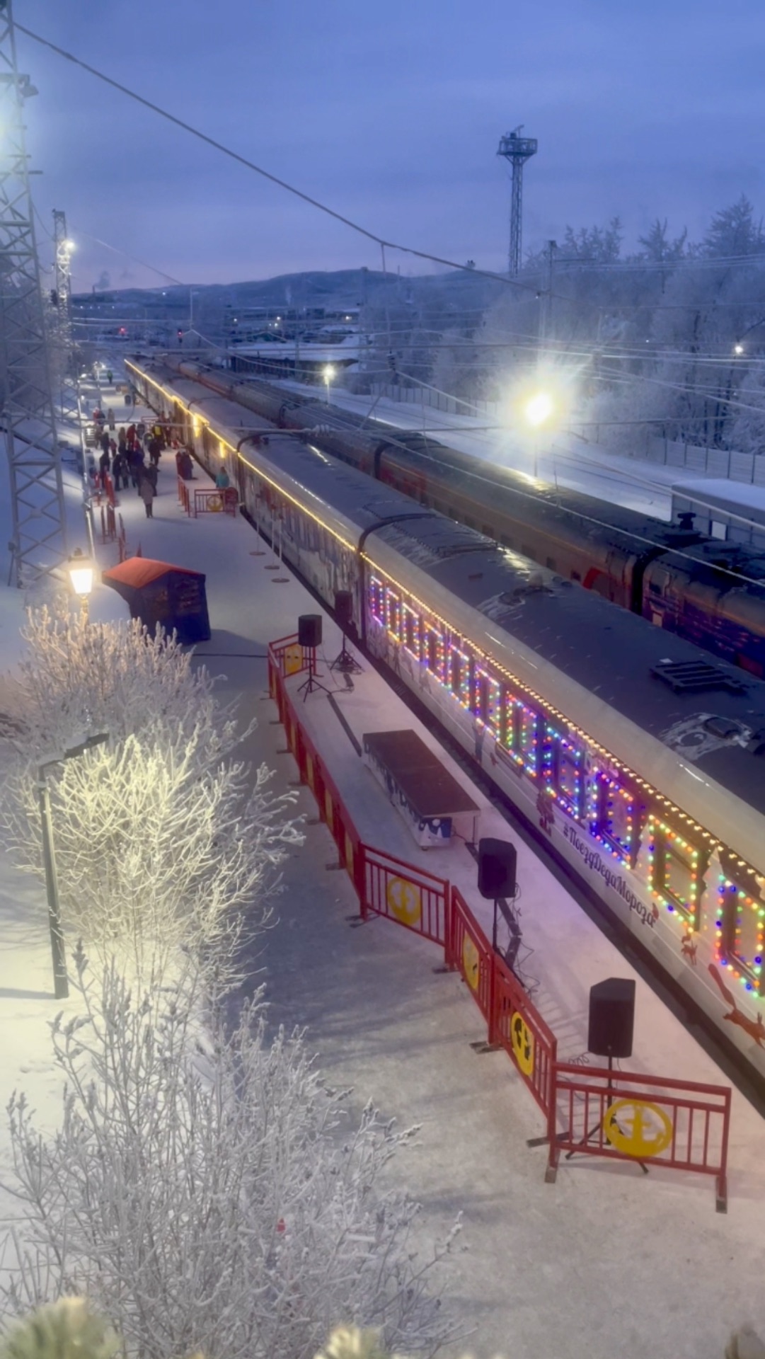 В мороз к новогодним чудесам