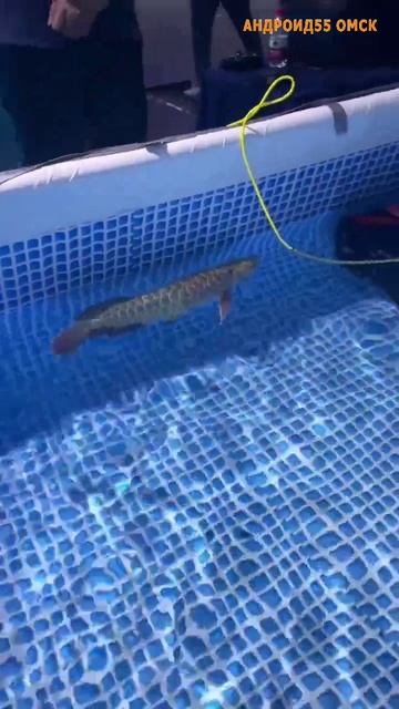 Китайский подводный дрон😲🤪