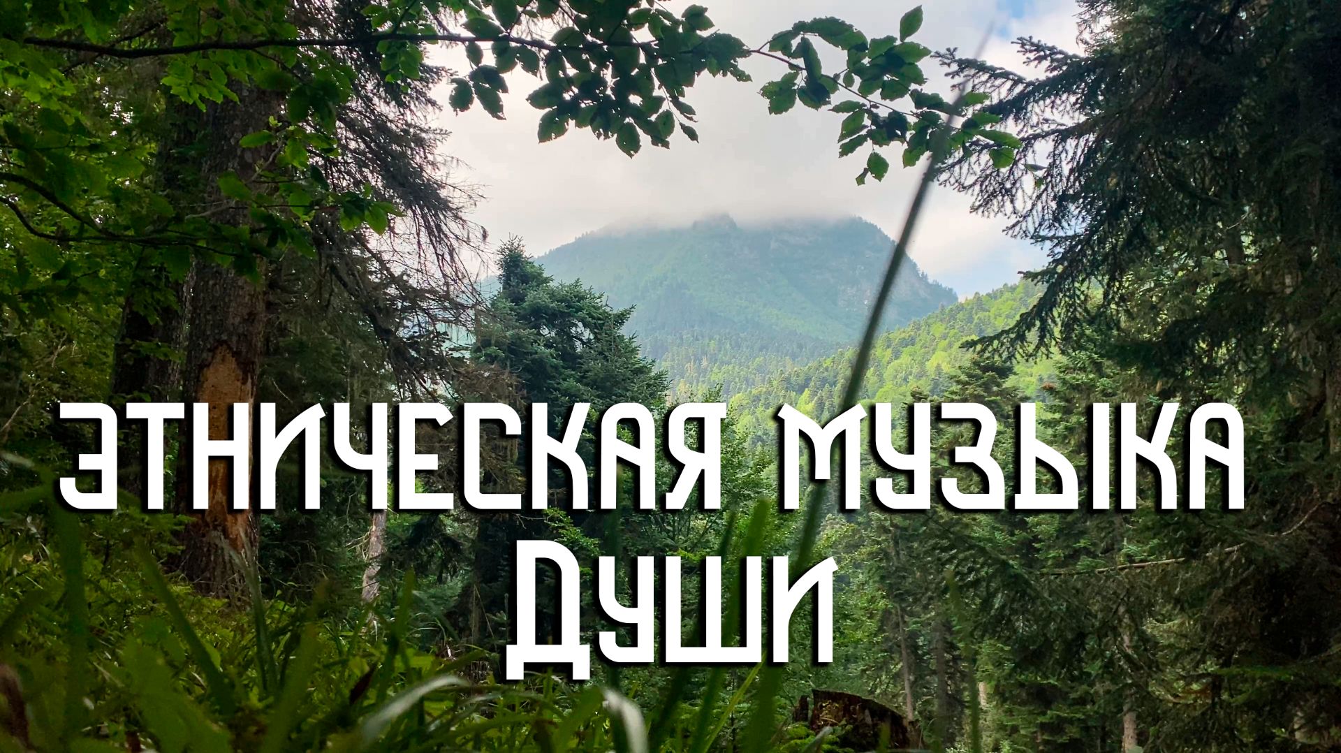 Этническая Музыка Души / Горный Лес / Флейта Пимак
