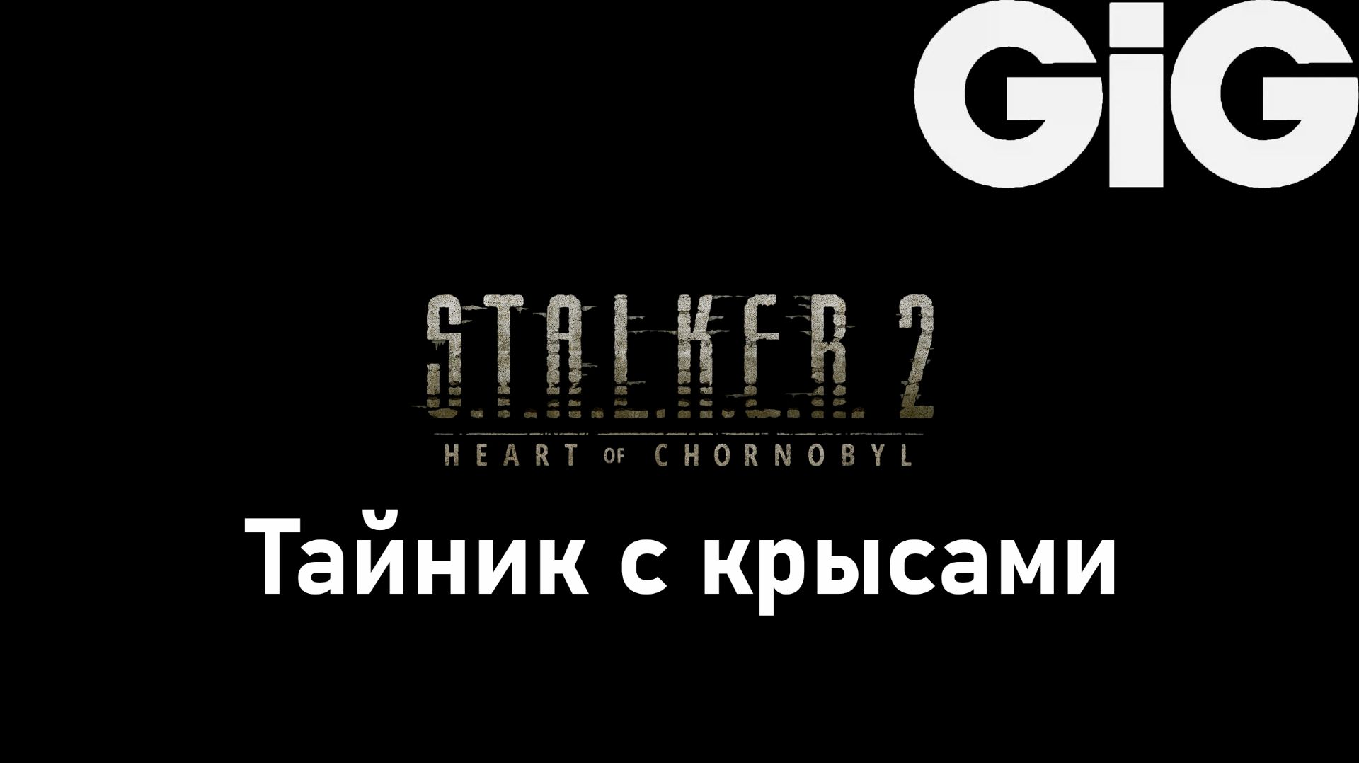 S.T.A.L.K.E.R. 2 Heart of Chernobyl - Тайник с крысами