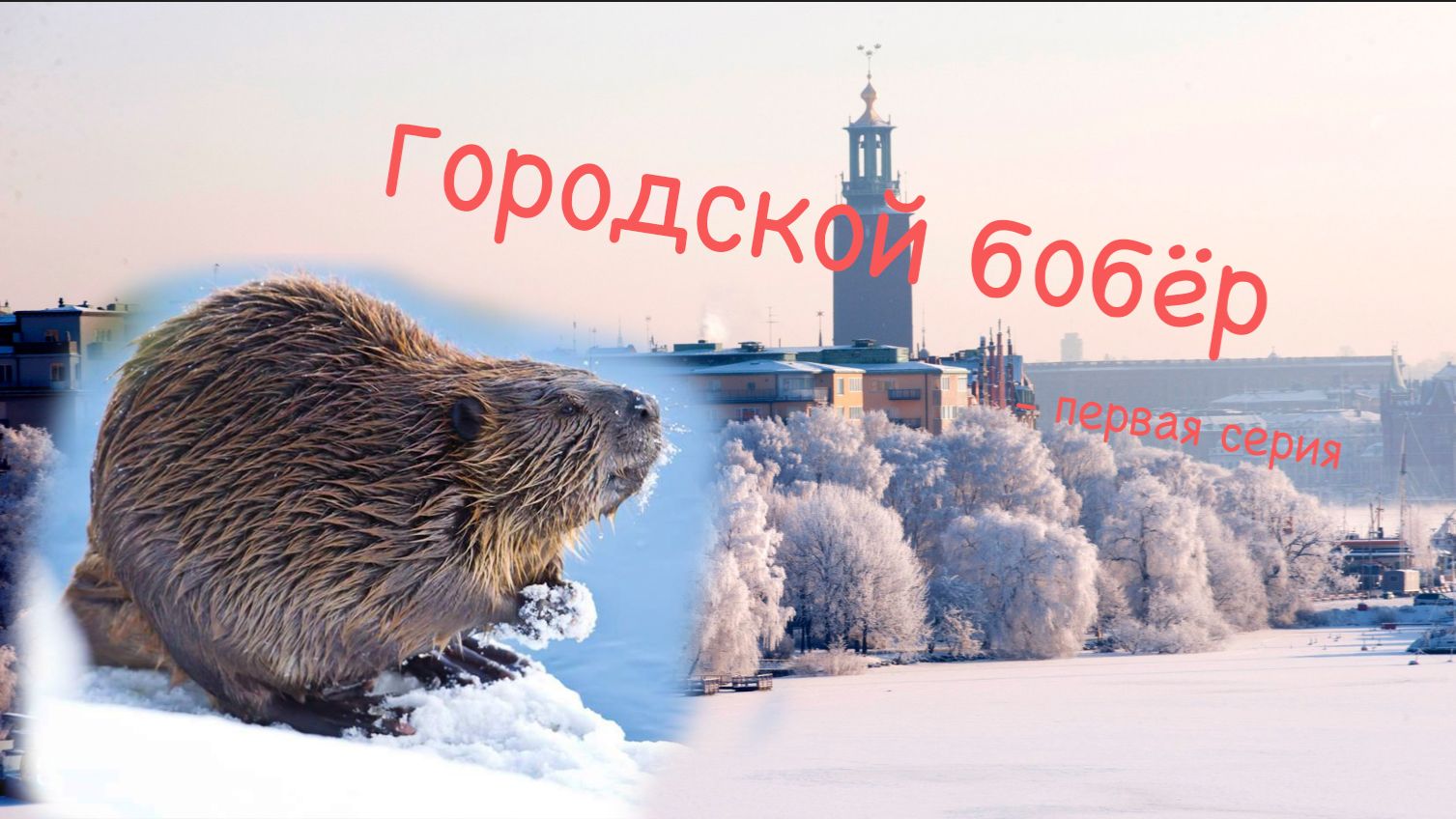 Городской бобёр