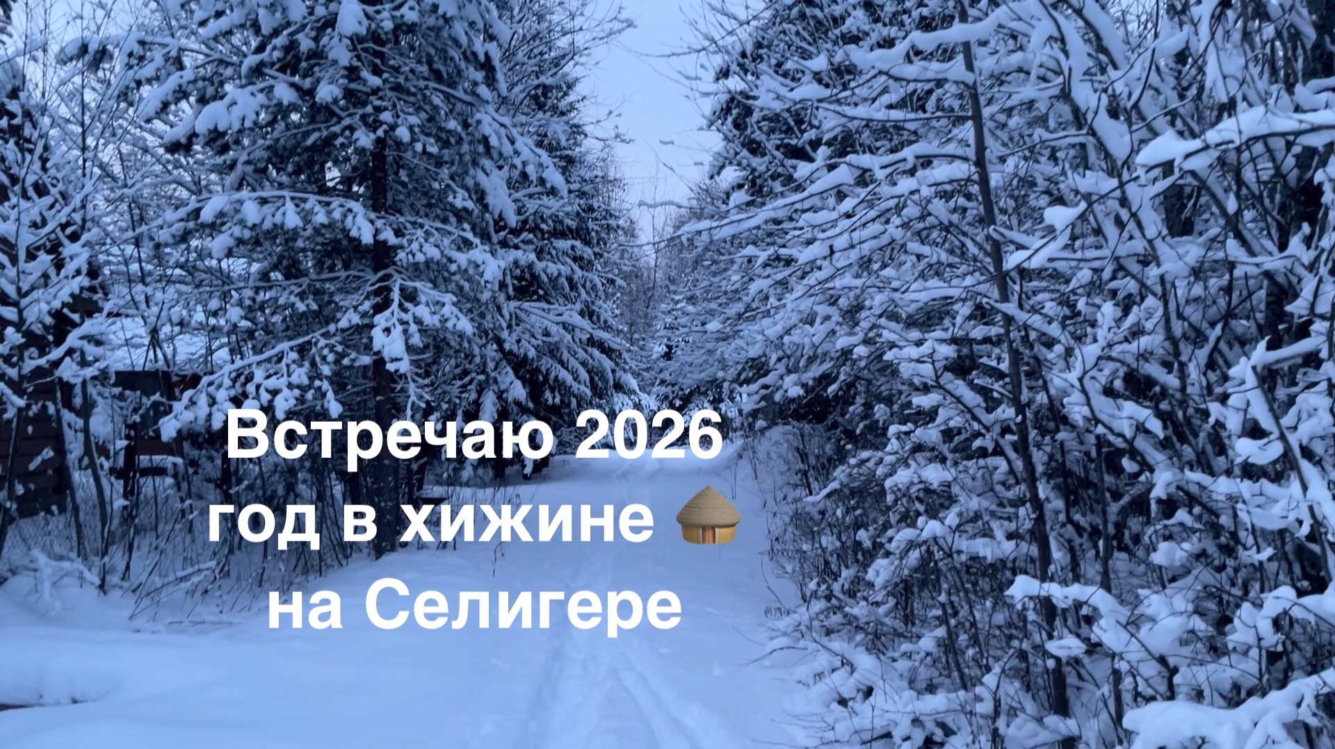 Новогодние 2026 в Хижине 🛖 на Селигере