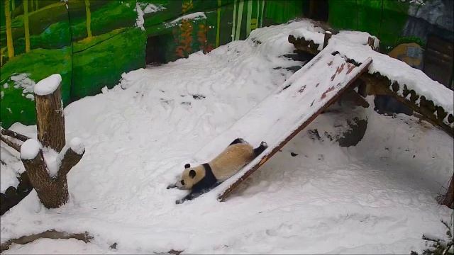 С горки! Поехали!