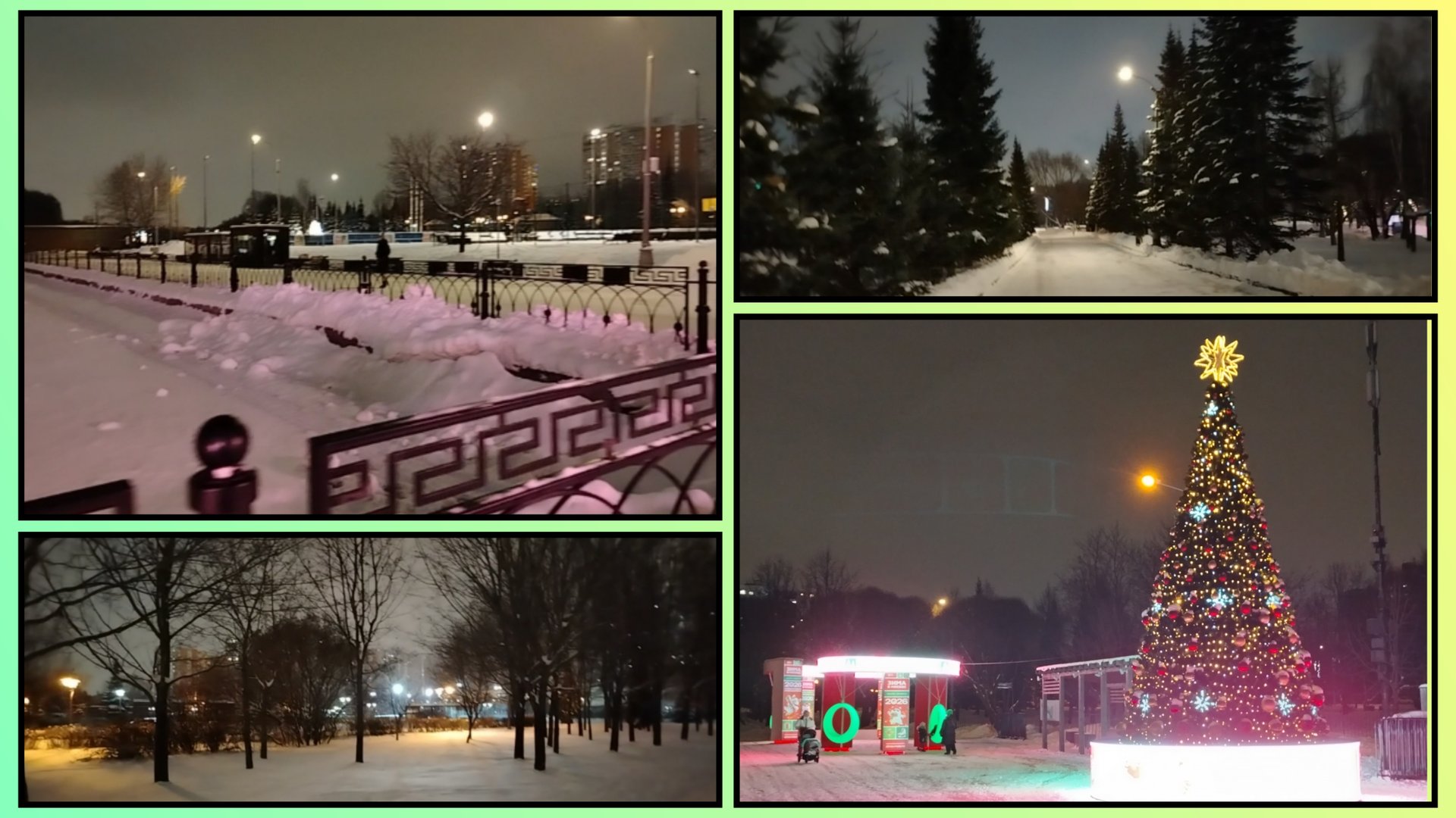 4/2026 ВЫЛЕЗЛА ИЗ НОРЫ, ПРОГУЛКА, ЧТО НОВОГО?