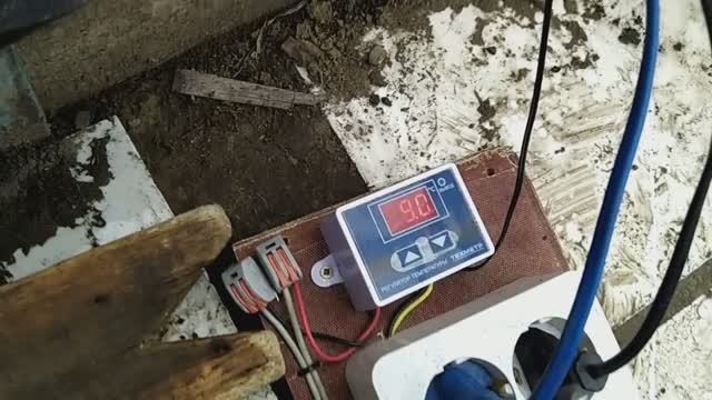 Заморозки апрельские. Виноград после зимы. Укоренение лозы.