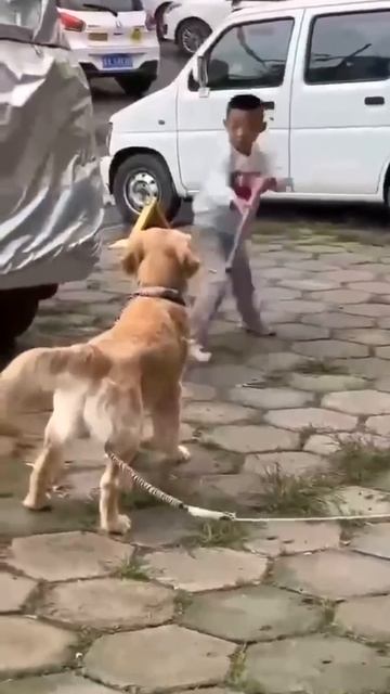 🚀[подборка видео из мира новостей, юмора и события из жизни людей - для вашего досуга]🎞