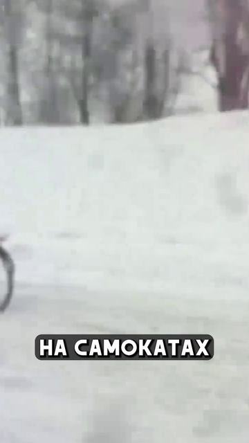 ❄️ Пока одни застряли, другие — заработали. Как снег в Москве разделил город на два лагеря