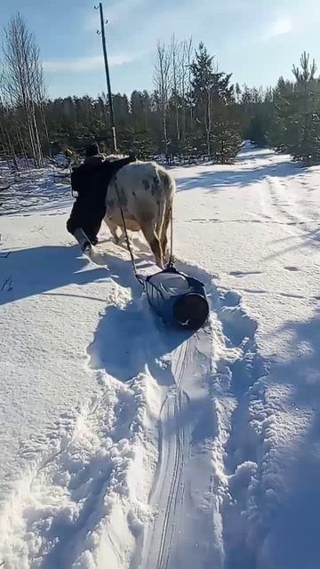 Настя с Дхармой 😁😁😁