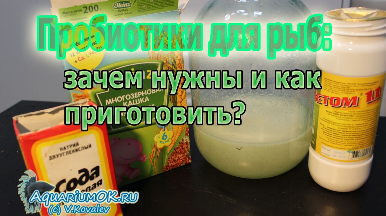 Целительные закваски (культуральные жидкости) на Ветоме 1.1 и Ветоме 2: показано как приготовить.