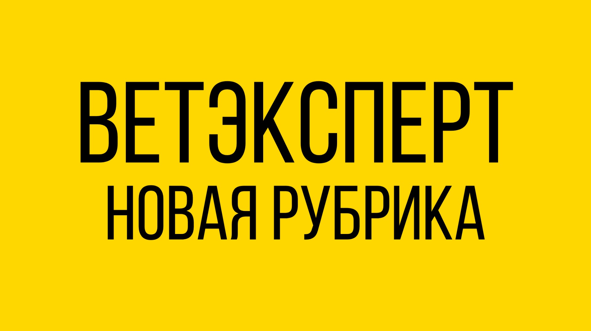 Ветеринар с 23-летним стажем, будет просто и понятно отвечать на вопросы о здоровье ваших питомцев