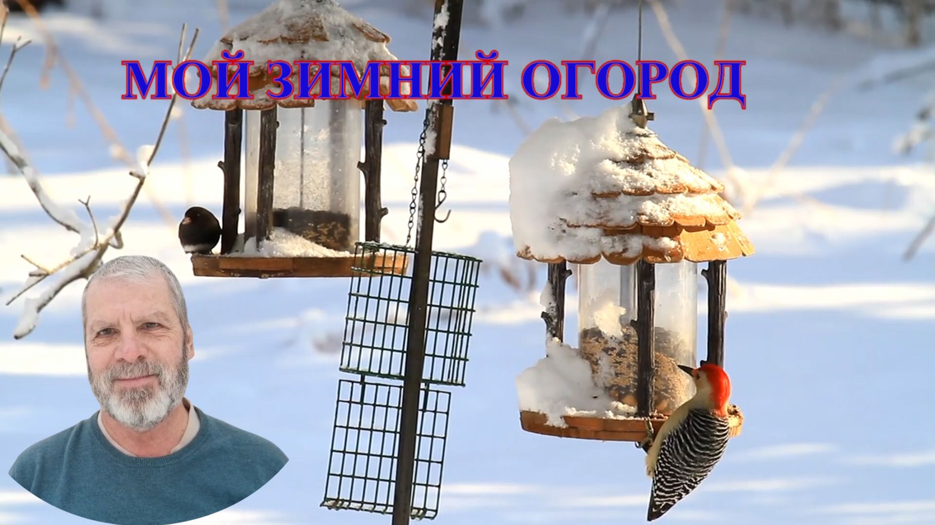 09.01.26 г. Огород. Оттепель!!!