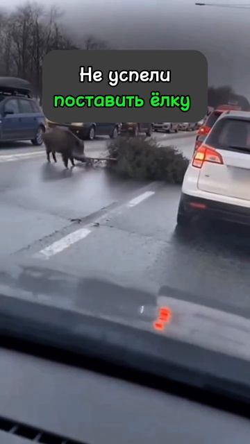 💪🏼-убрал, 🙂-ещё рано, 🥴-лень, 🫤-зачем её вообще ставить